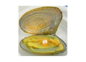 İnci tanesi ve insan ruhu / Felsefe / Milliyet Blog