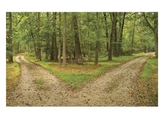 İki yol / Şiir / Milliyet Blog