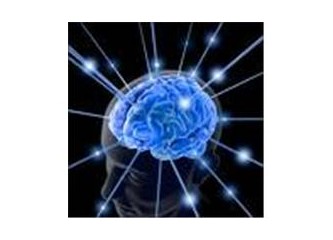 Türkiye'de bir ilk, insan zekası incelendi '' / Bilim / Milliyet Blog