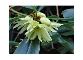 Yurt sevgisi / Şiir / Milliyet Blog