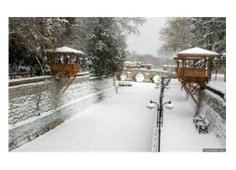 Zaman aptal olur mu / Şiir / Milliyet Blog